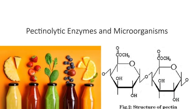 Pectinase: introduction and description.pptx