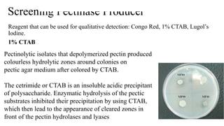 Pectinase: introduction and description.pptx