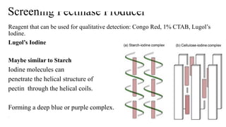 Pectinase: introduction and description.pptx