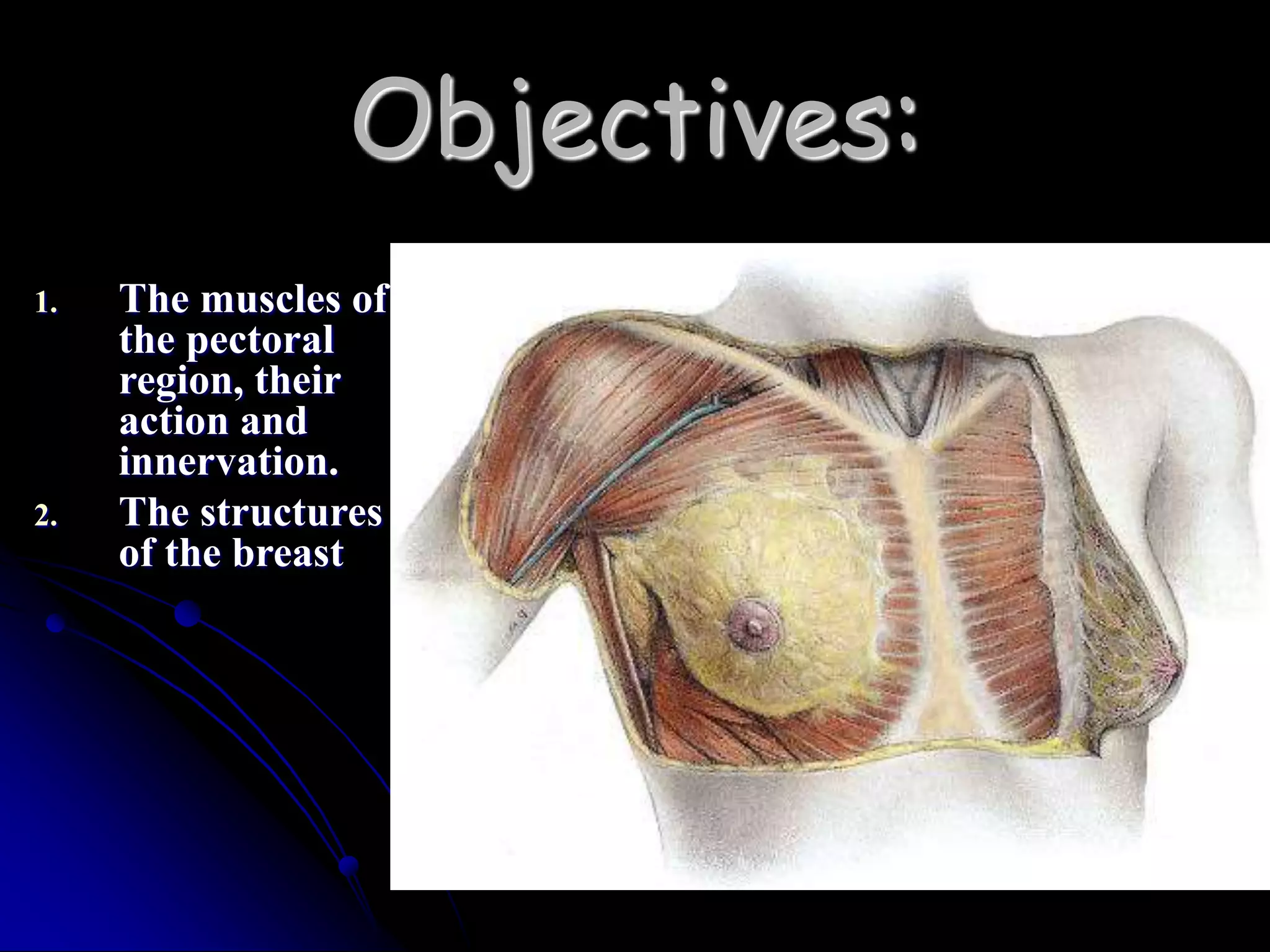 Pectoral Andbreast 2pptx