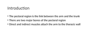 pectoral girdle and breast anatomy .pptx