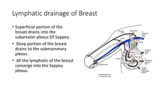 Pectoral region | PPTX
