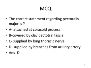 pectoral_region-.ppt
