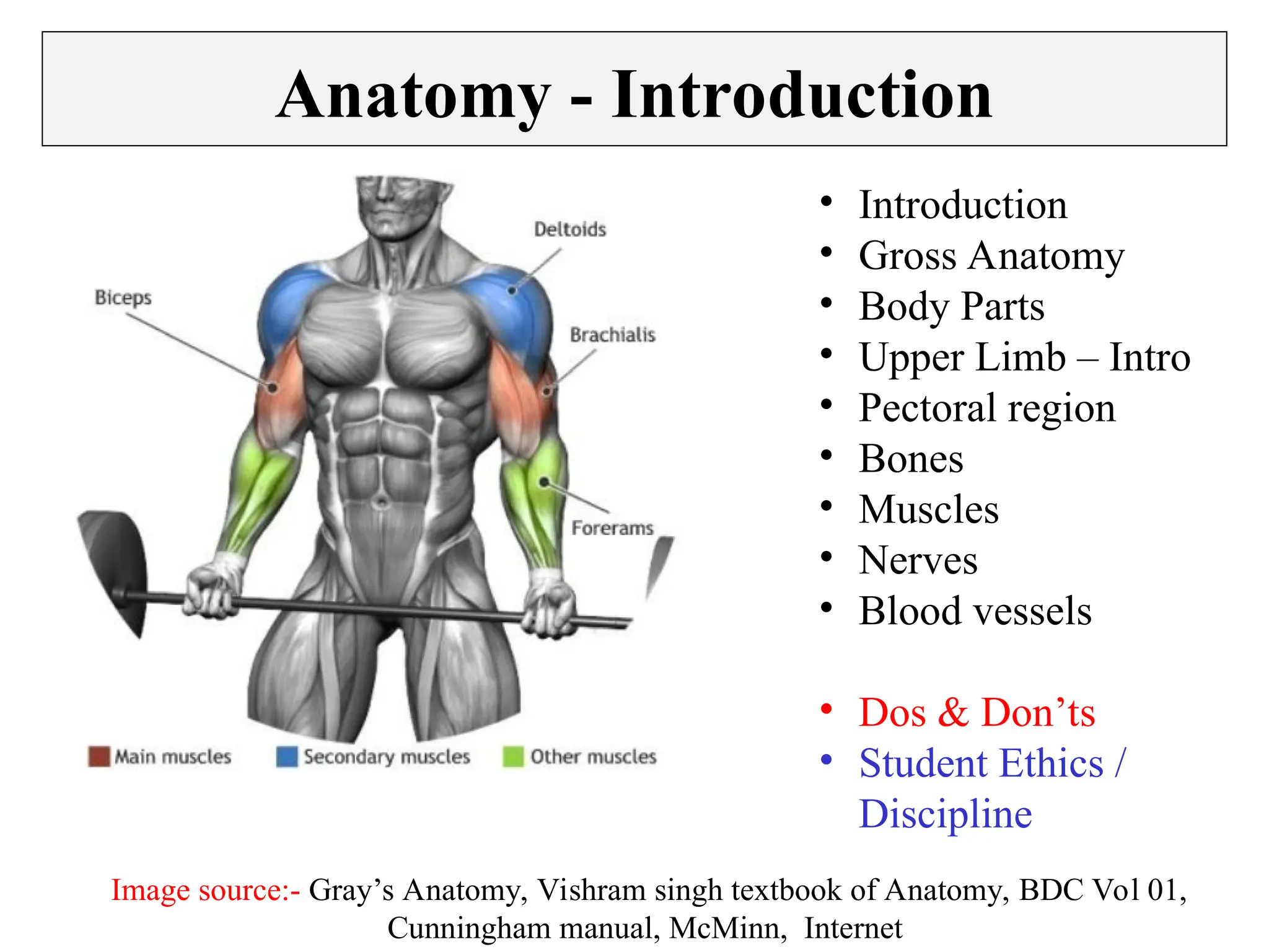 Pectoral Region Upper Limb Human Anatomy.ppt