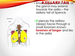 Pectoral region Anatomy UOB lecture 1.pdf