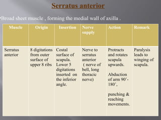 pectoral region and axilla and its type. | PPTX