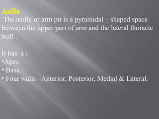 pectoral region and axilla and its type. | PPTX