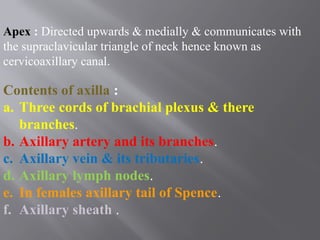 pectoral region and axilla and its type. | PPTX