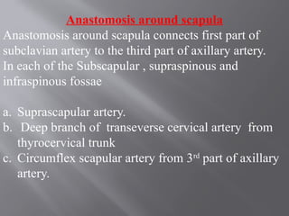 pectoral region and axilla and its type. | PPT