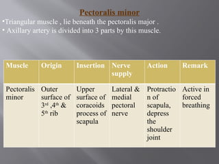 pectoral region and axilla and its type. | PPTX