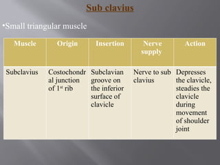 pectoral region and axilla and its type. | PPTX
