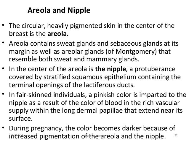 Pectoral region and breast surgical anatomy
