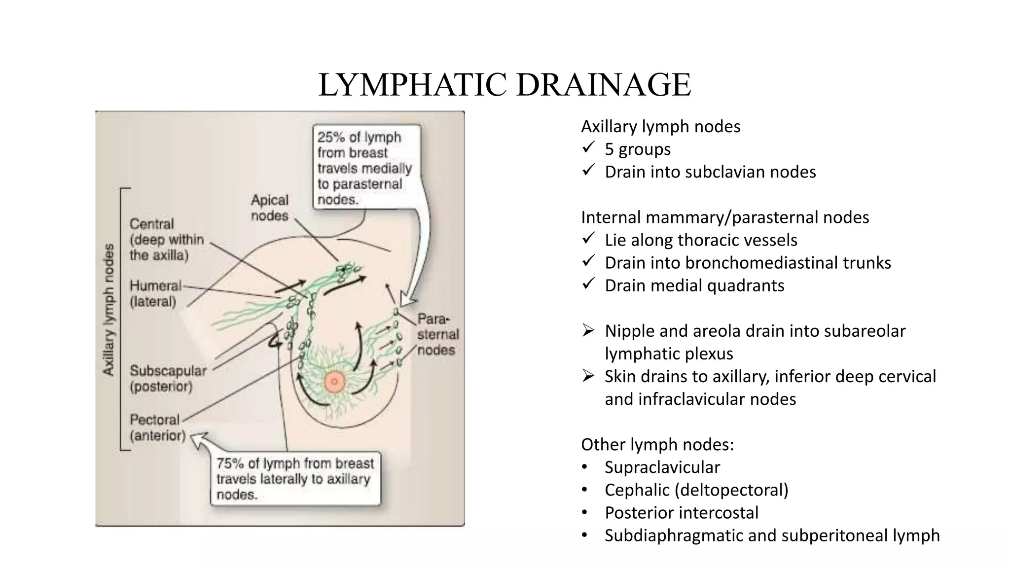 PECTORAL REGION AND MAMMARY GLAND.pptx