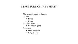 PECTORAL REGION AND MAMMARY GLAND.pptx