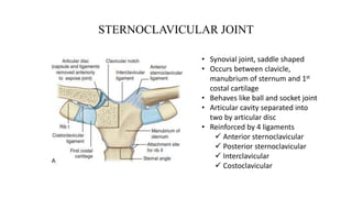 PECTORAL REGION AND MAMMARY GLAND.pptx