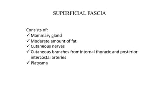 PECTORAL REGION AND MAMMARY GLAND.pptx