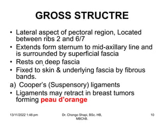 Pectoral region & Breast Anatomy by Shapi. MD.pdf