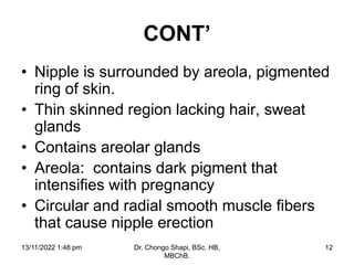 Pectoral region & Breast Anatomy by Shapi. MD.pdf