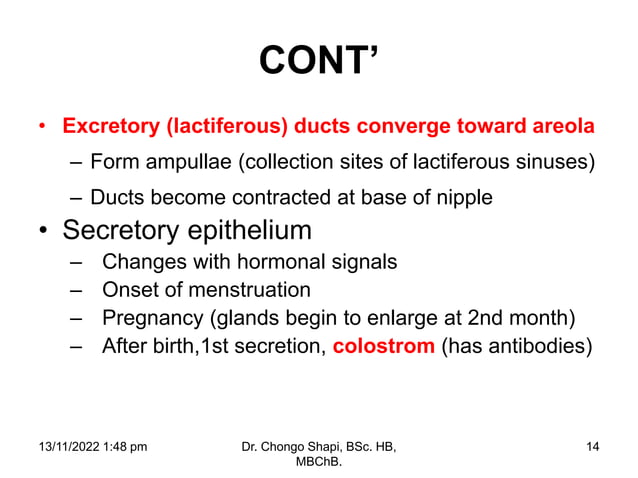 Pectoral region & Breast Anatomy by Shapi. MD.pdf