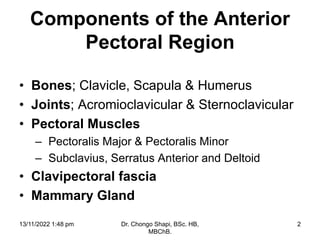 Pectoral region & Breast Anatomy by Shapi. MD.pdf