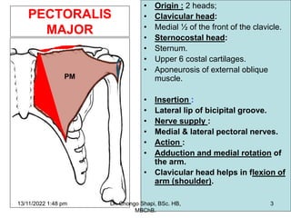 Pectoral region & Breast Anatomy by Shapi. MD.pdf