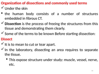 Pectoral region; General instructions for dissection.pptx