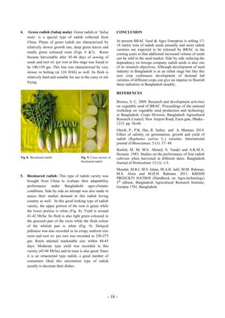 'Radish' - a versatile vegetable crop improves the rural economy of ...