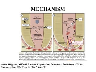 revascularisation | PPTX