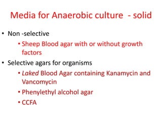 pedagogy.sandhya.pptx