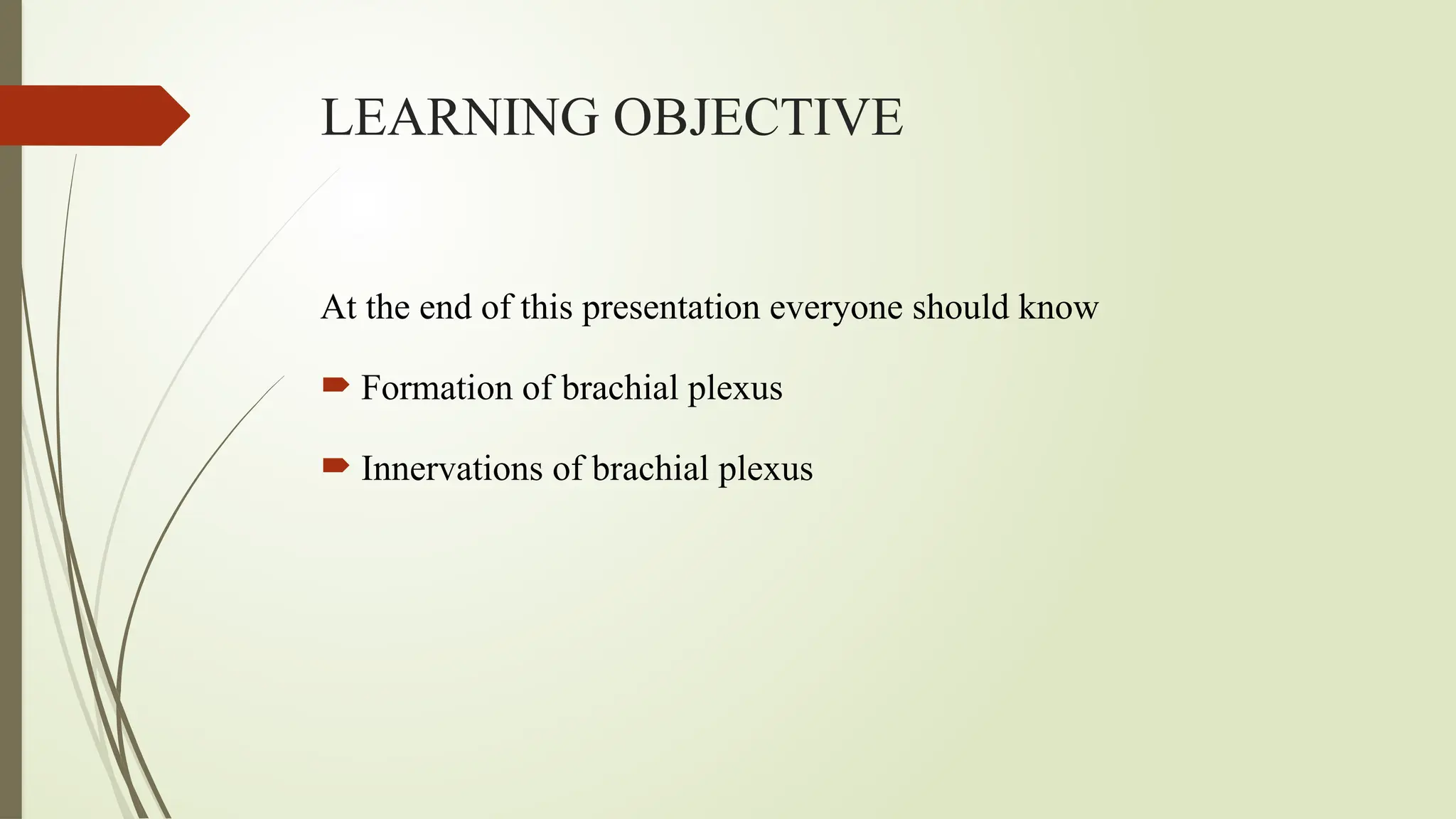 Anatomy of brachial plexus (basic anatomy) | PPTX