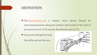 Anatomy of brachial plexus (basic anatomy) | PPTX