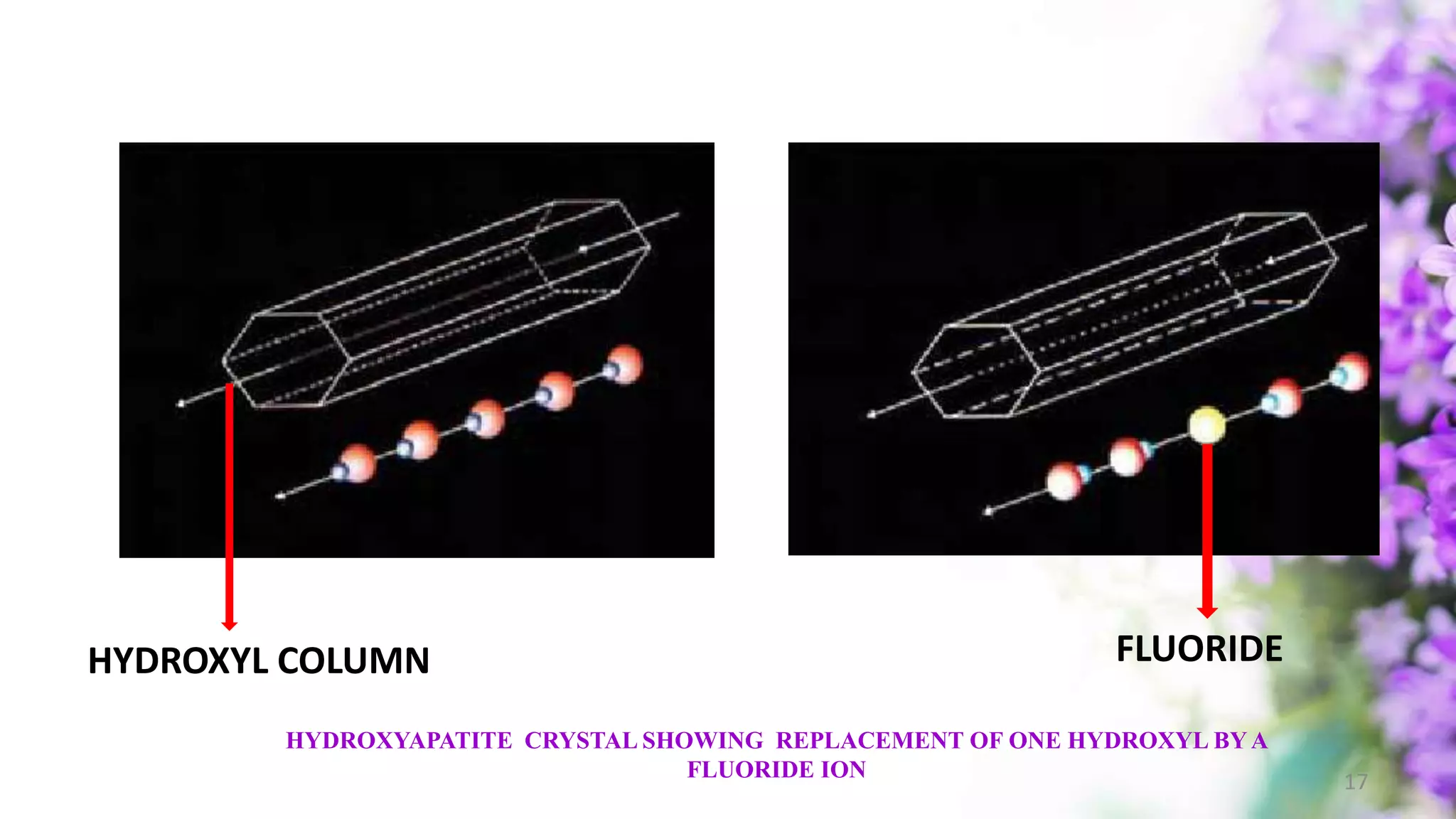 MECHANISM OF ACTION OF FLUORIDE | PPTX