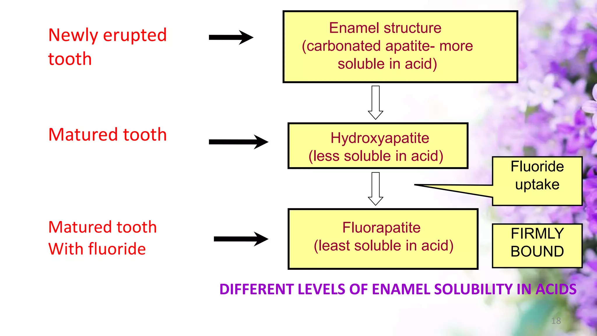 MECHANISM OF ACTION OF FLUORIDE | PPTX