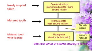 MECHANISM OF ACTION OF FLUORIDE | PPTX