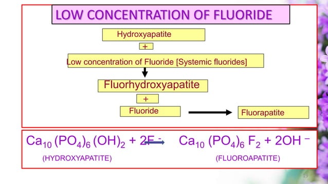MECHANISM OF ACTION OF FLUORIDE | PPTX
