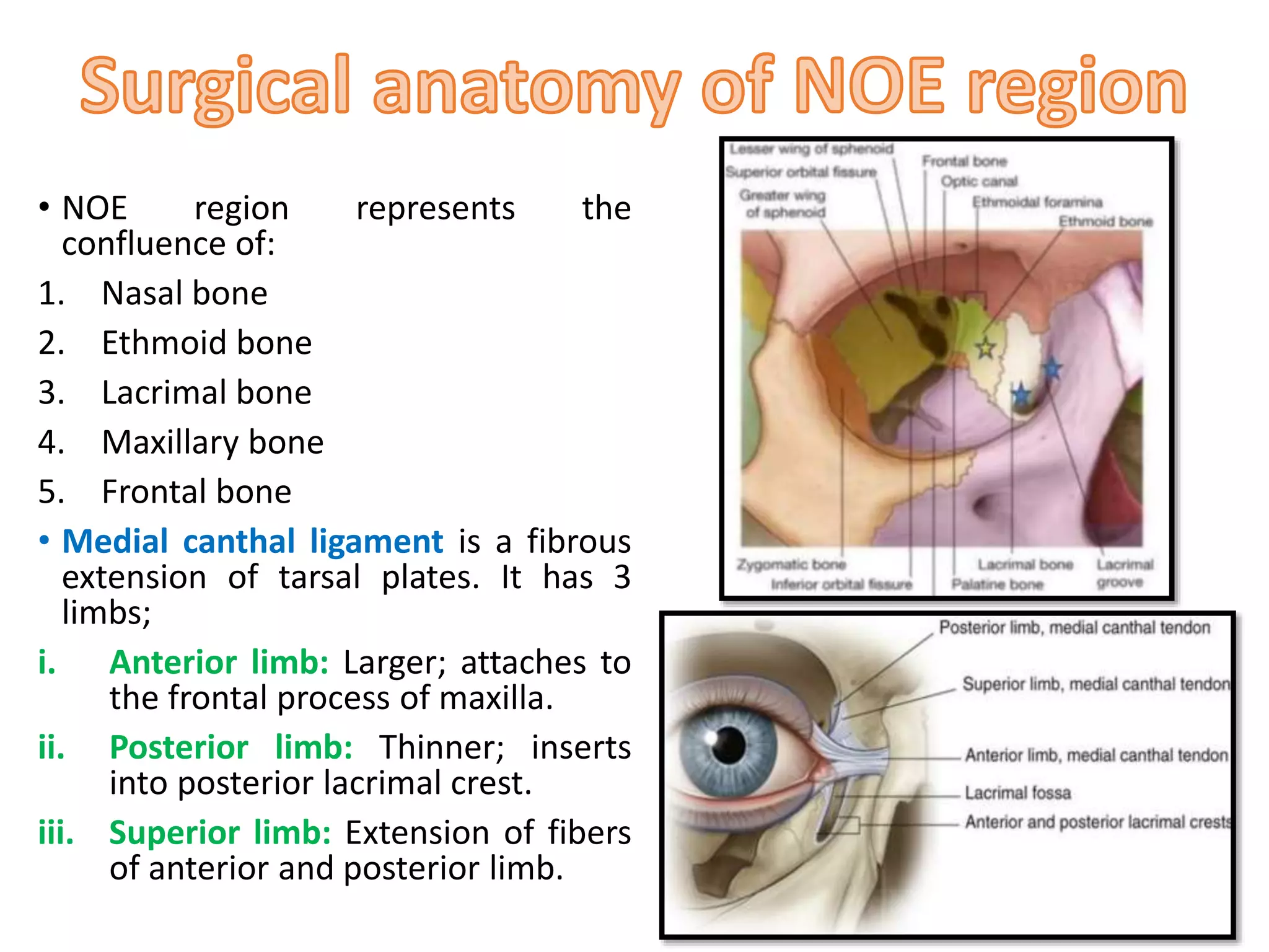 Naso-orbital-ethmoid (NOE) fractures: Management principles, options ...