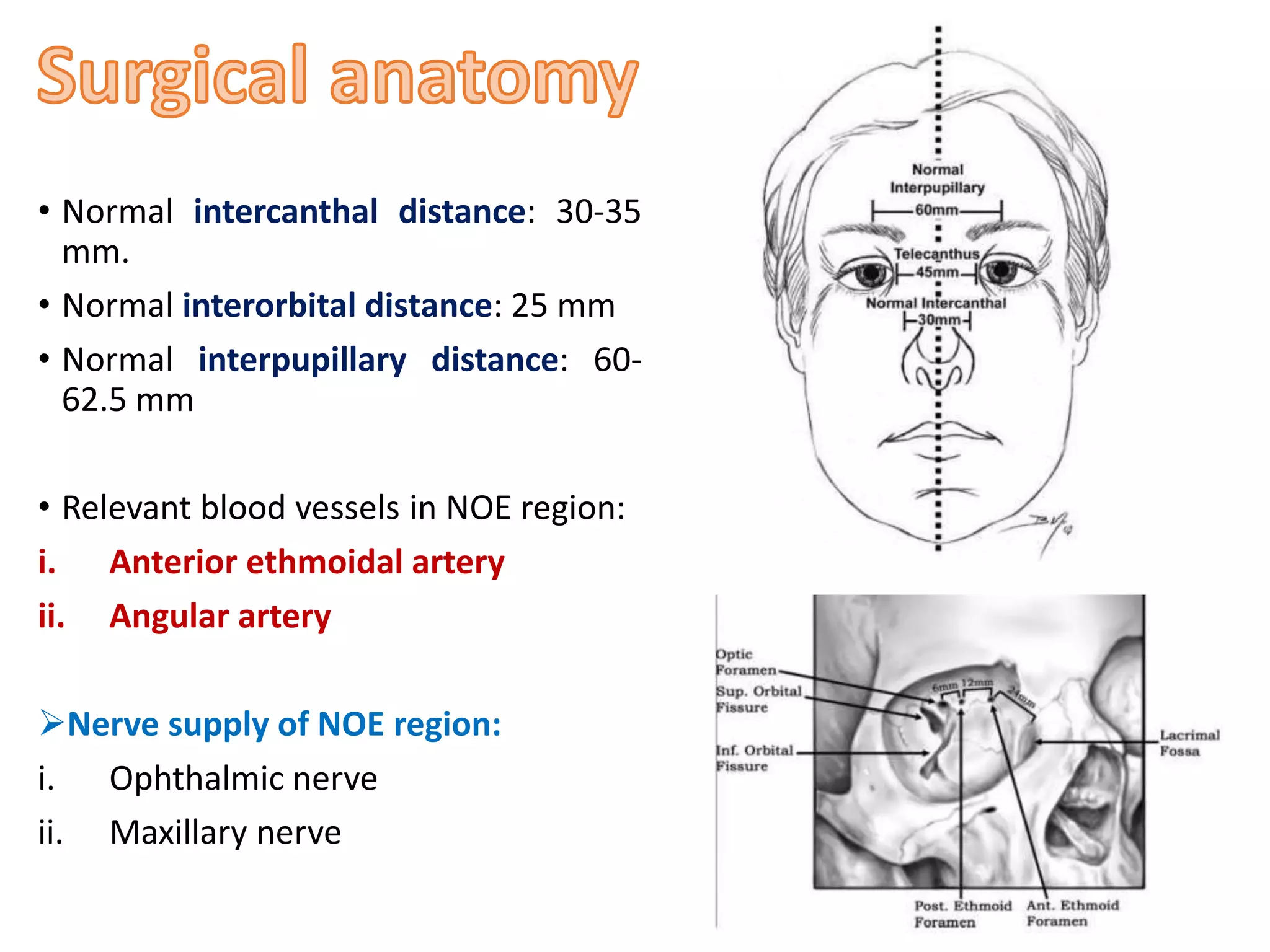 Naso-orbital-ethmoid (NOE) fractures: Management principles, options ...