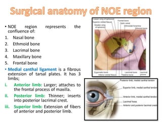 Naso-orbital-ethmoid (NOE) fractures: Management principles, options ...