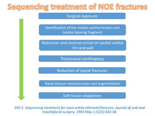 Noe Fracture
