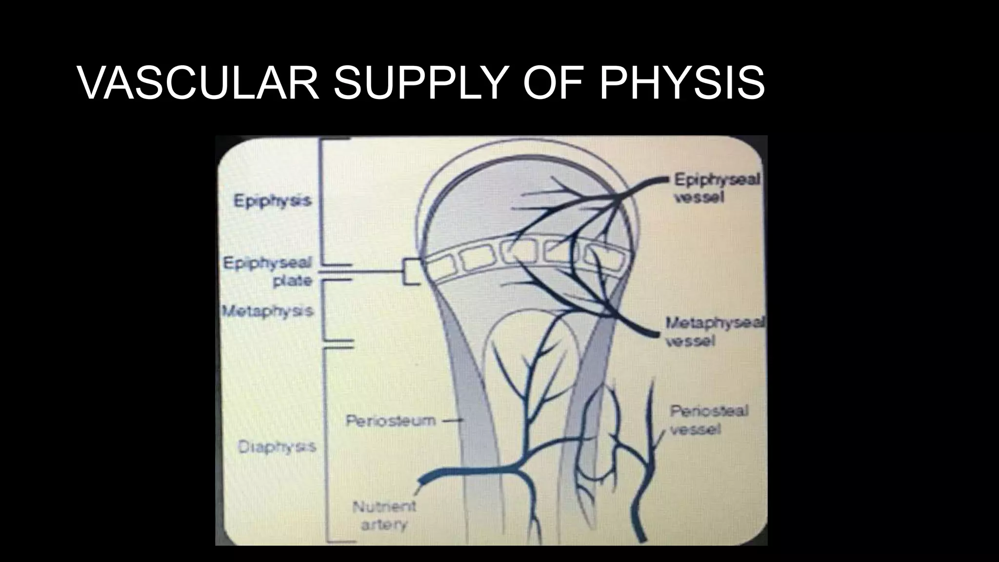 structure of physis | PPTX