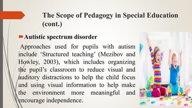 Pedagogy work (1) (1) | PPT
