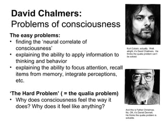 Nagel, bats, and the hard problem | PPT