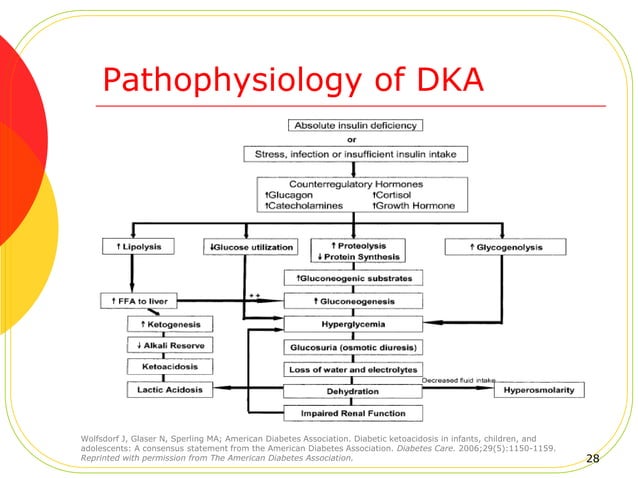 Pediatrics DKA slide set updated | PPT