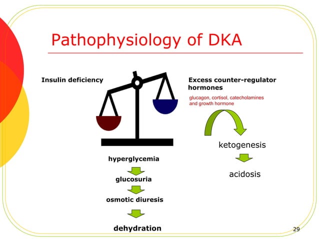 Pediatrics DKA slide set updated | PPT