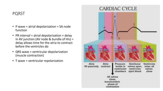 Pediatric ECG Notes | PPTX