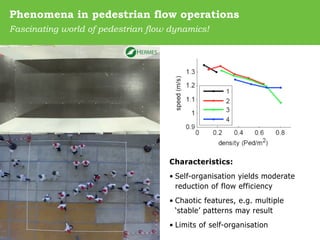 Pedestrian modelling | PDF