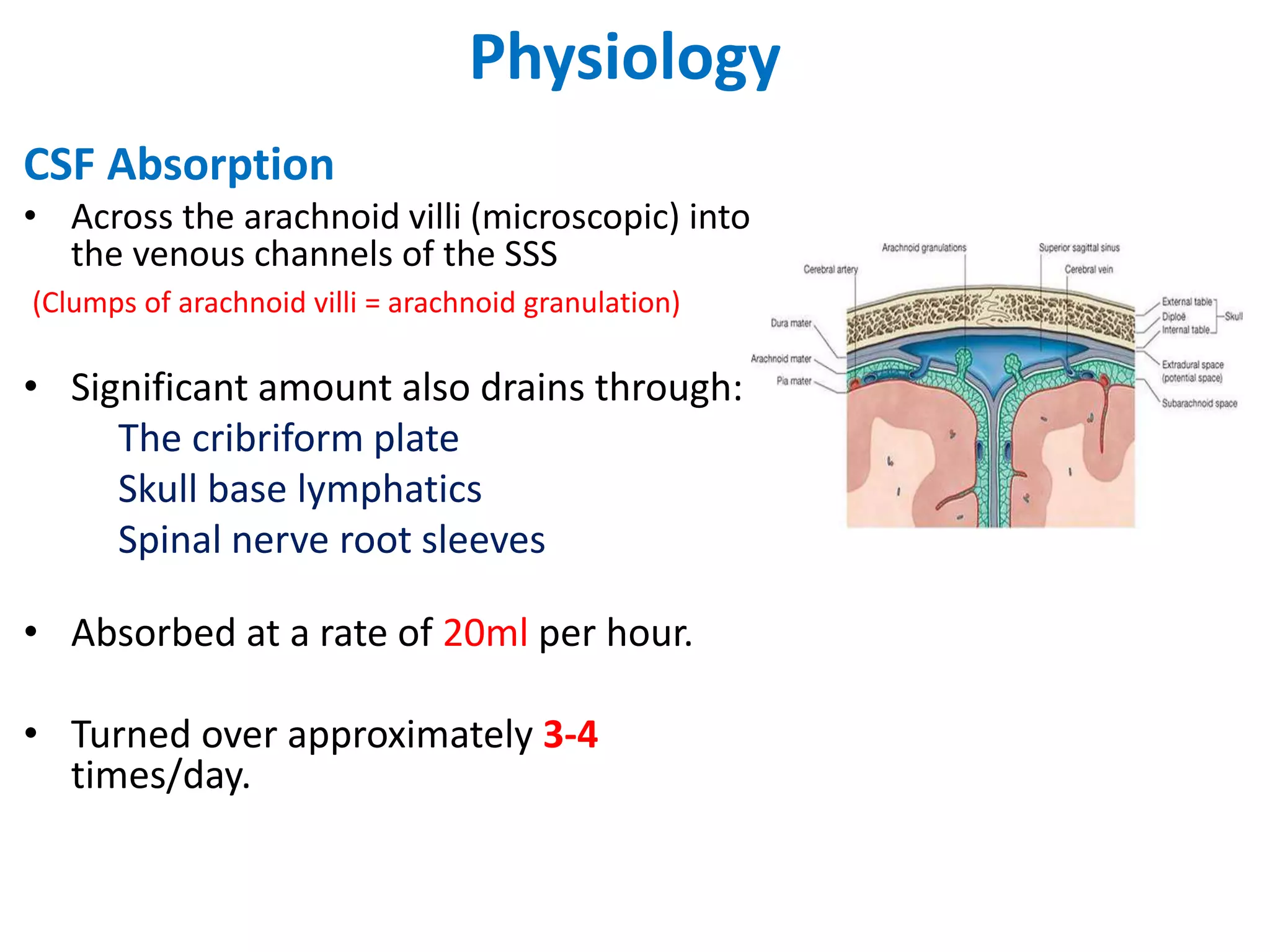 Pediatric Hydrocephalus | PDF
