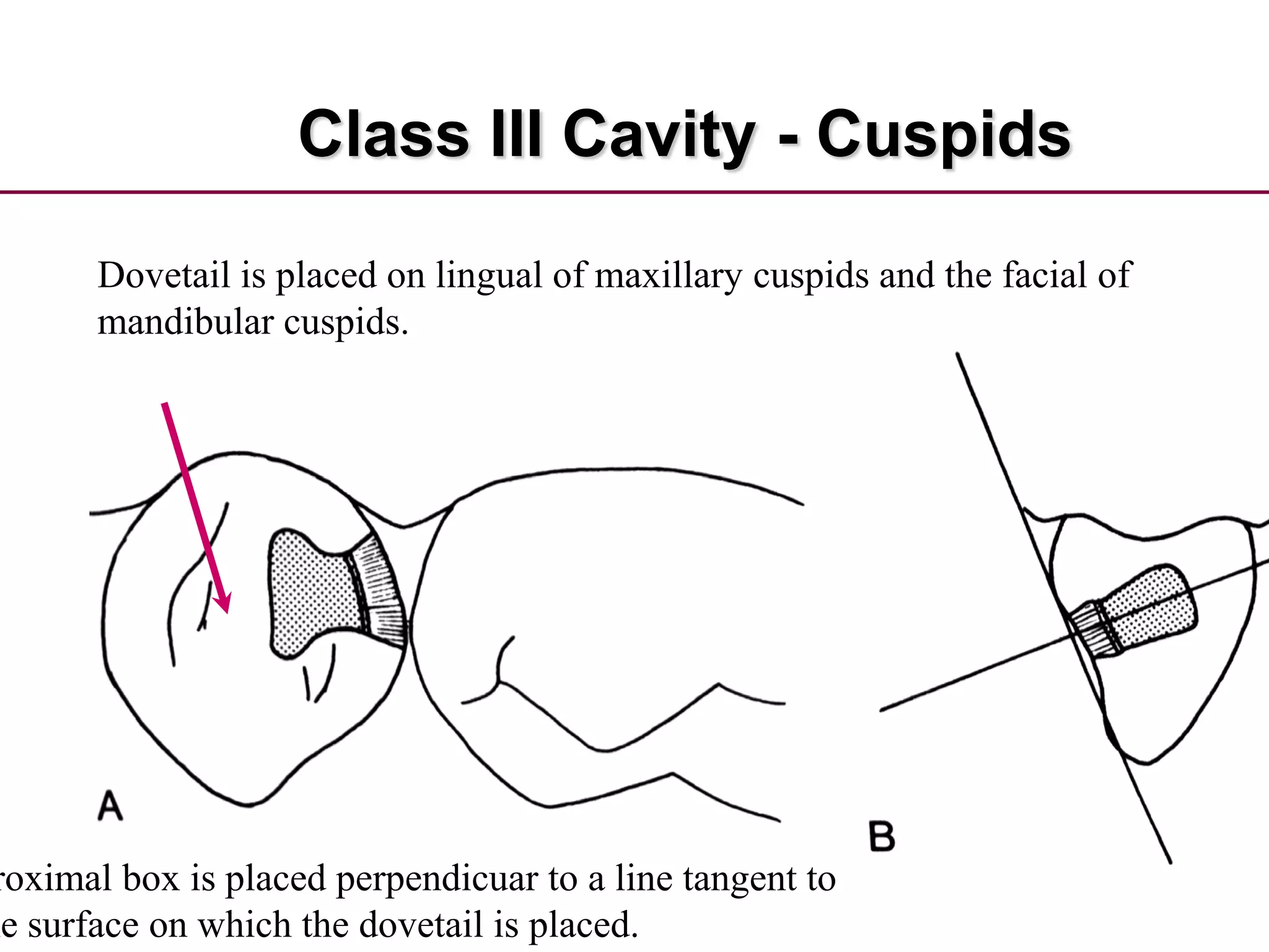 Pedia class III pre | PDF