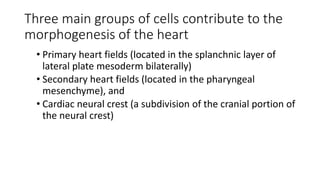 Pedia Cardiac Imaging by Caffey.pptx