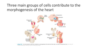 Pedia Cardiac Imaging by Caffey.pptx